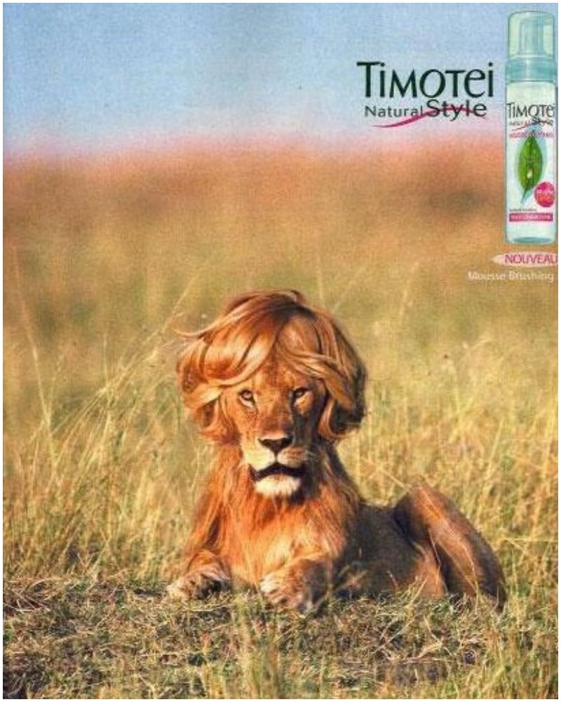 Creative and Imaginative Print Ads That Are Hard to Ignore – Page 48