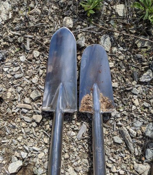 People Found the Answers to Fascinating “What Happens If” Questions ...