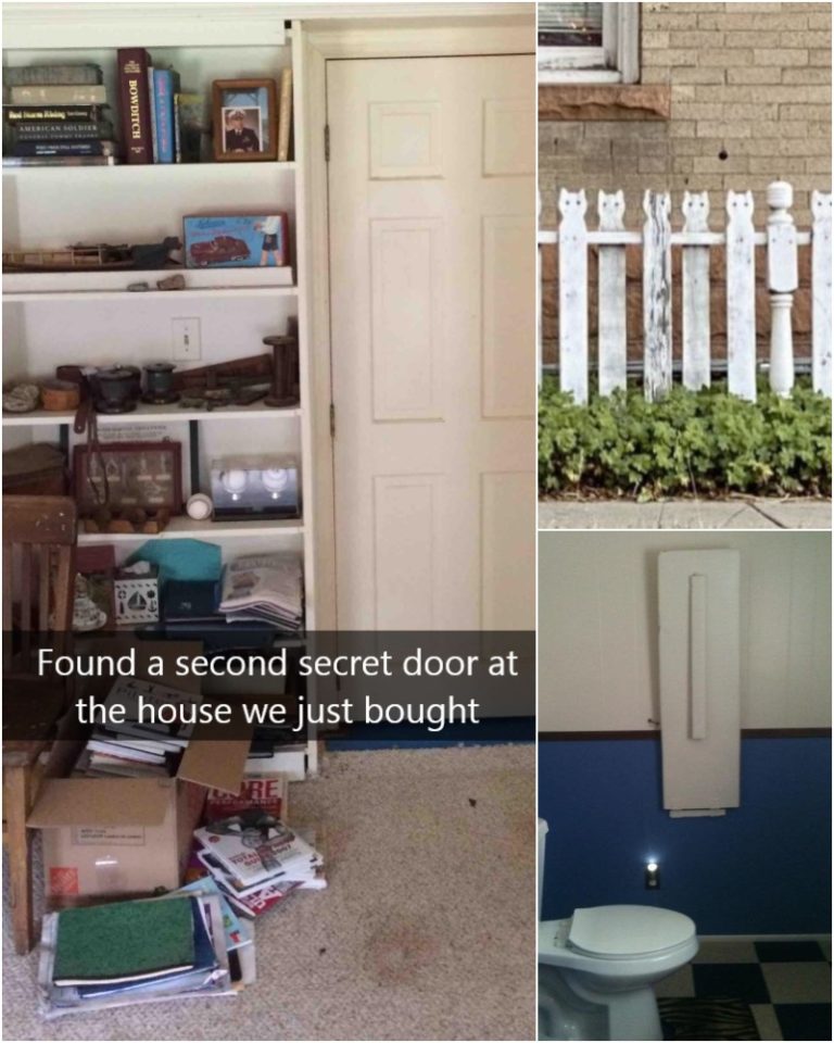 55 Surprising Things People Have Found In Their Homes 55-surprising-things-people-have-found-in-their-homes