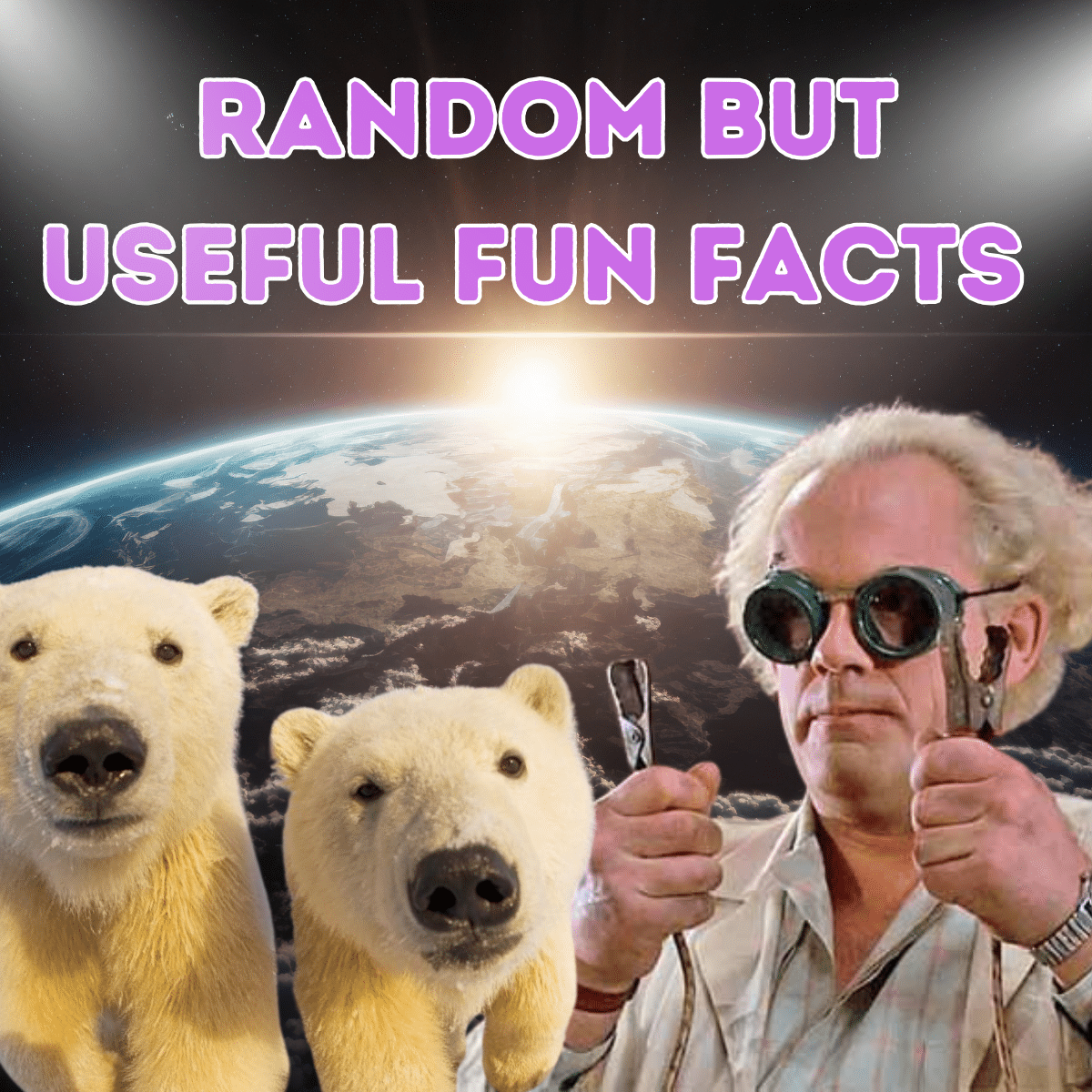 Random Fun Facts That Are Excellent Ice Breakers for Meeting New People