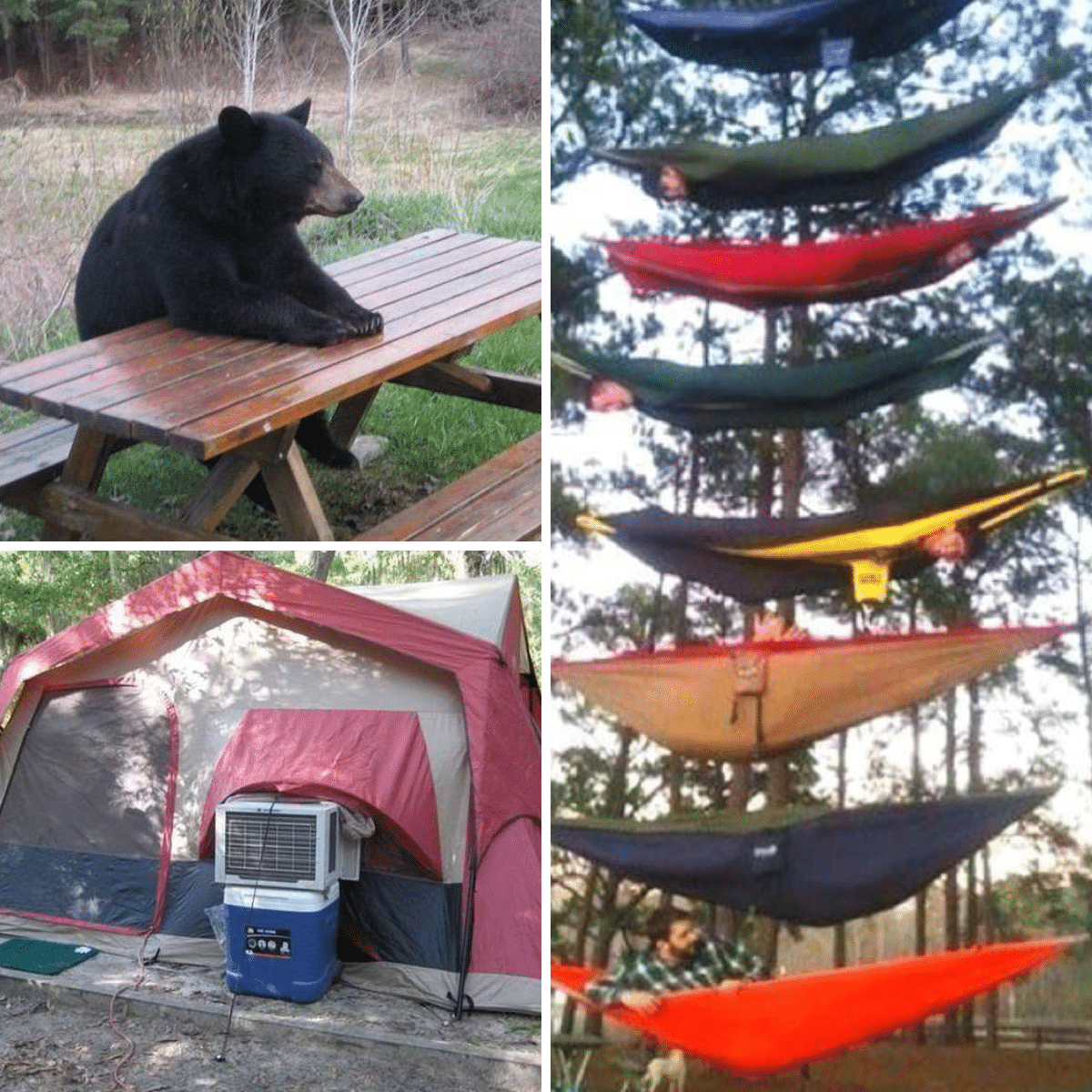 Prepare to Burst into Laughter with These Hilarious Camping Photos