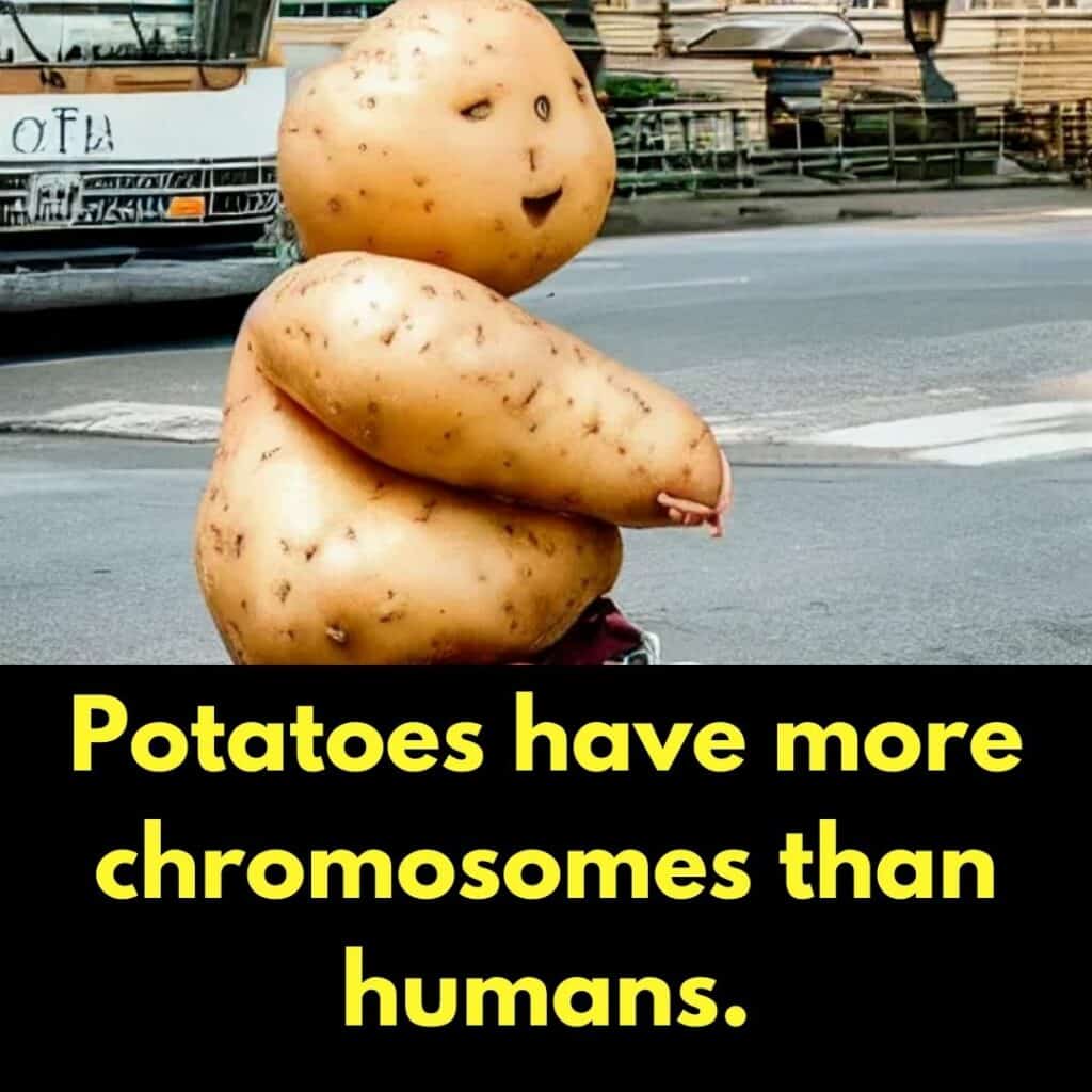 Mind-Blowing Facts About Genetics That Doctors Wish We All Knew – Page 29