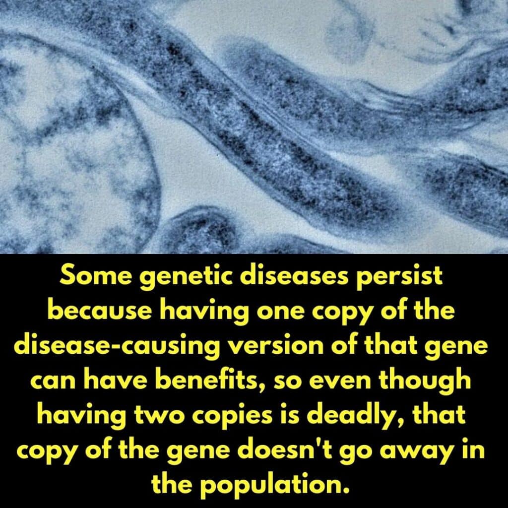 Mind-Blowing Facts About Genetics That Doctors Wish We All Knew – Page 3