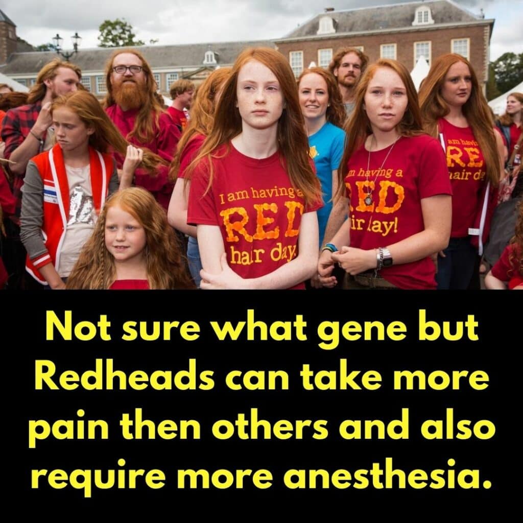 Mind-Blowing Facts About Genetics That Doctors Wish We All Knew – Page 27