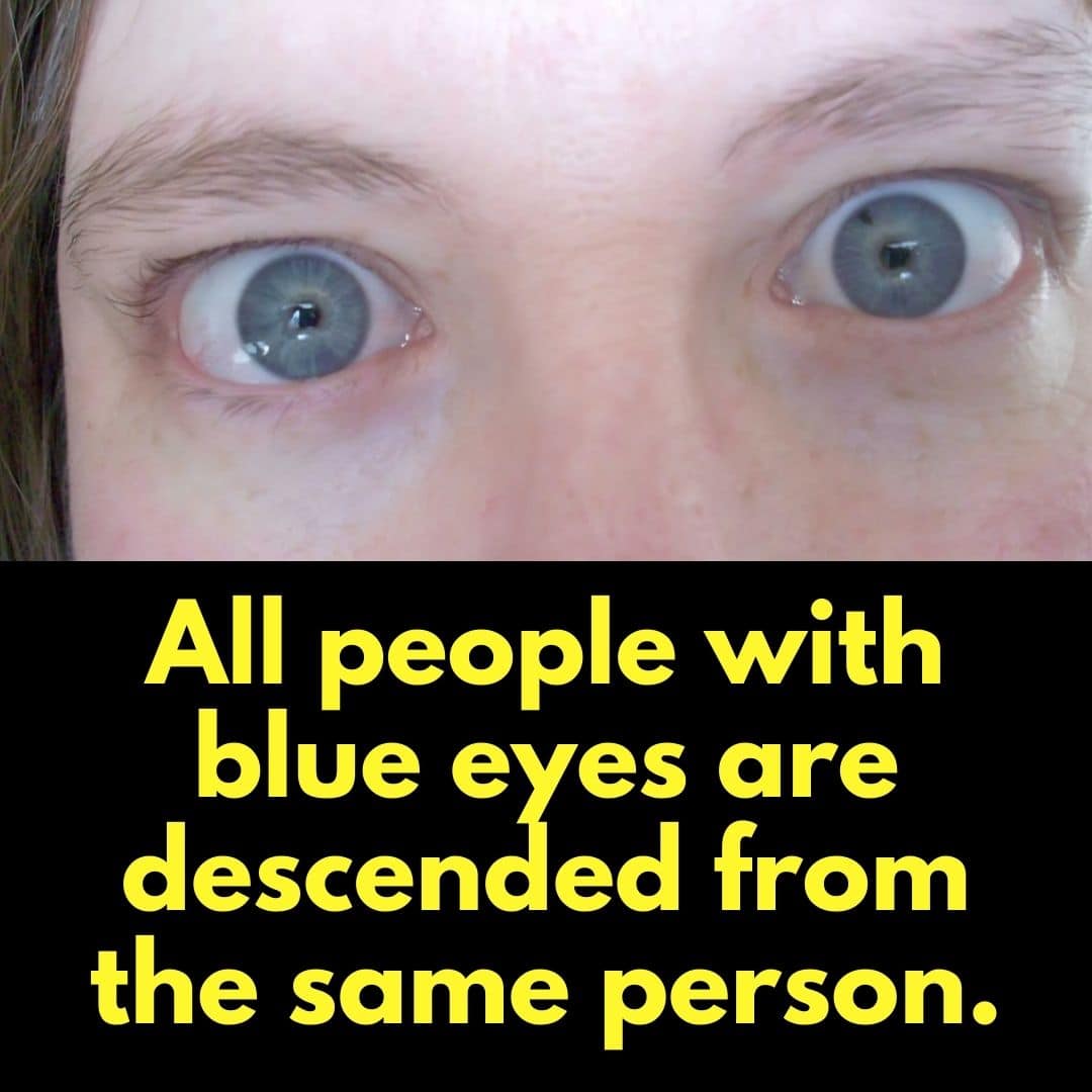 Mind-Blowing Facts About Genetics That Doctors Wish We All Knew – Page 28