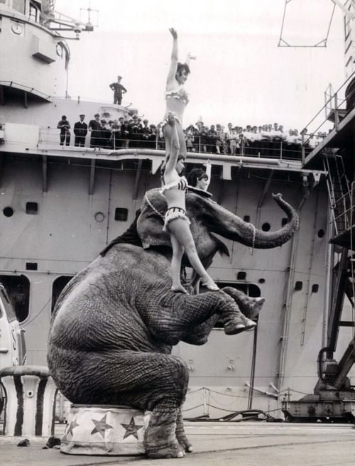 Vintage Images of the Circus in Its Heyday – Page 32