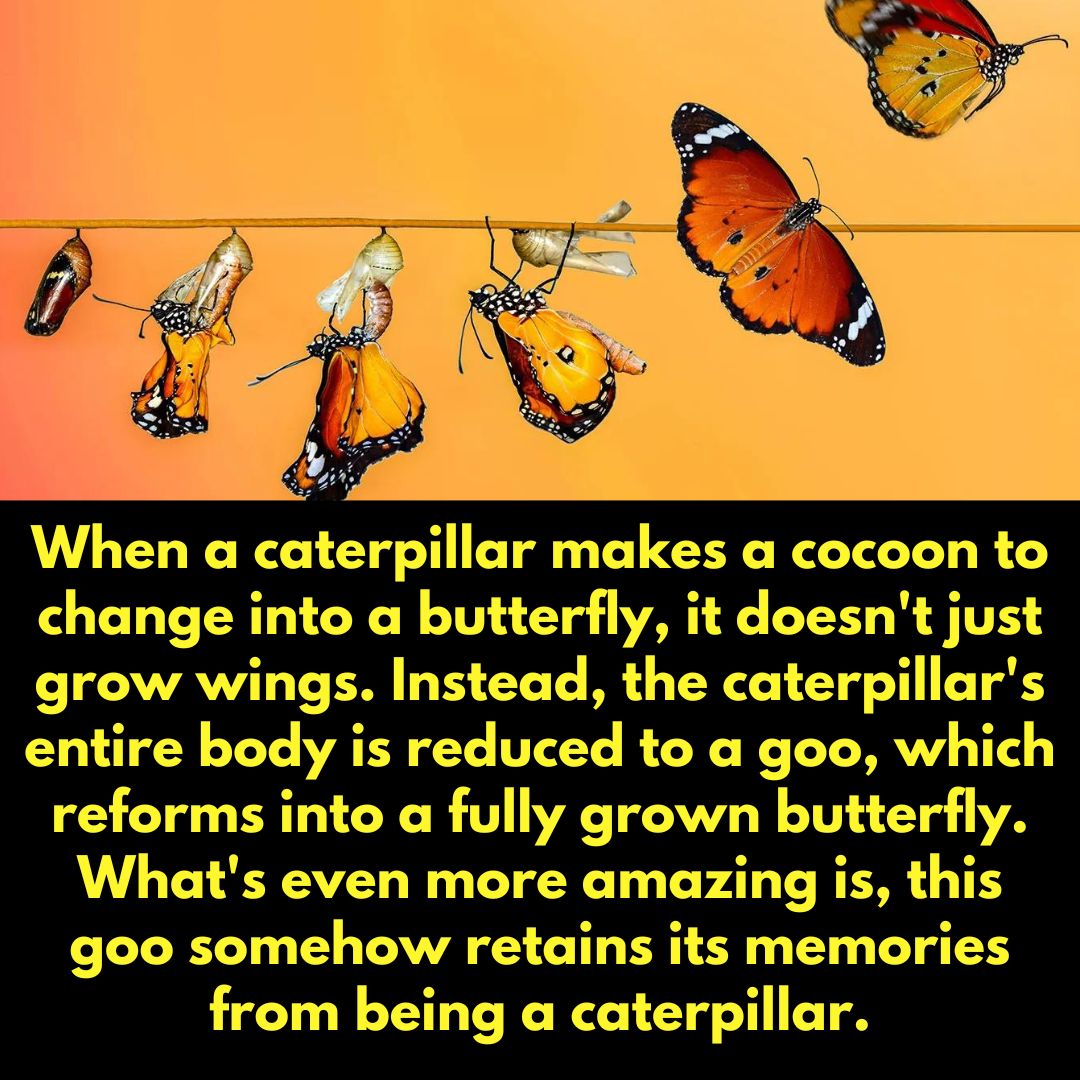 Mind-Blowing Facts About Genetics That Doctors Wish We All Knew – Page 55