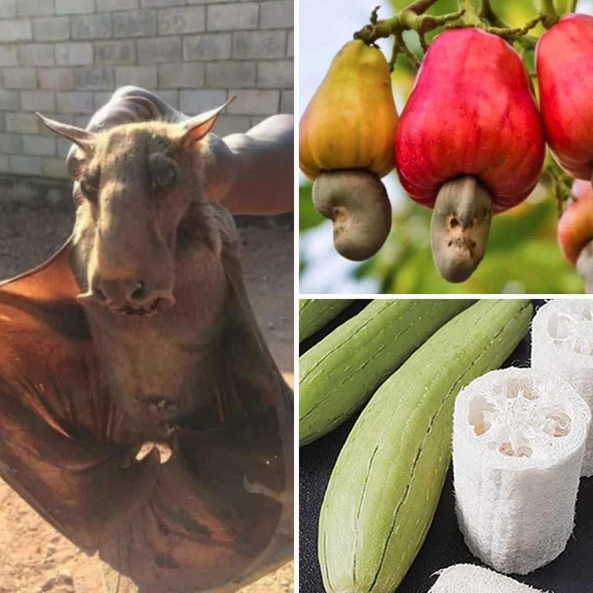 These People Were “Today Years Old” When They Learned These Surprising ...